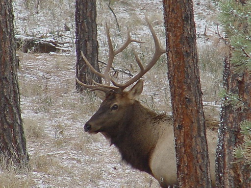 Hunting - Air Force Academy - iSportsman