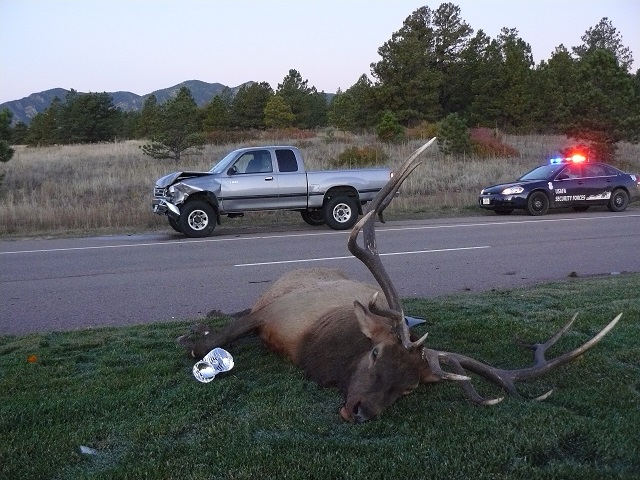 Wildlife & Conservation - Air Force Academy - iSportsman